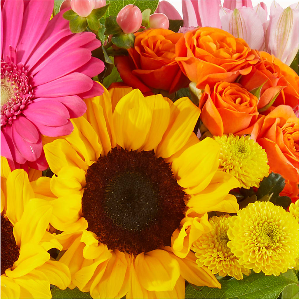 Fort Myers Florist | Same Day Flower Delivery by The Andes Flowers Llc